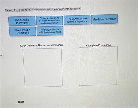 Solved Classify The Given Terms Or Examples With The Chegg Com