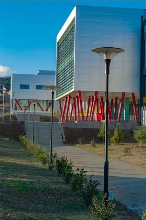 221 მეგა სკოლა 1 ე კლასი 📖 🎒