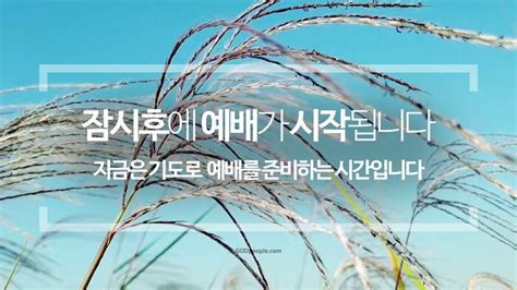 [무료저작권 No Copyright 예배인트로 영상] 기독교 바탕화면 억새 가을 하늘 한강 갤럭시노트9