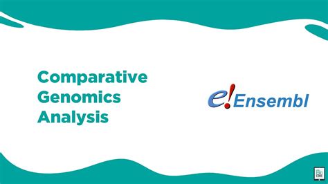 Bioinformatics Comparative Genomics Analysis Biocode Ltd Youtube