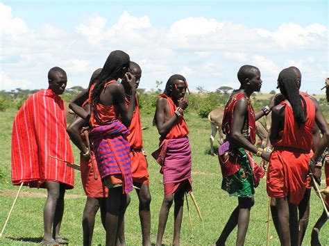 Maasai People And Tribe Culture Warriors And Language