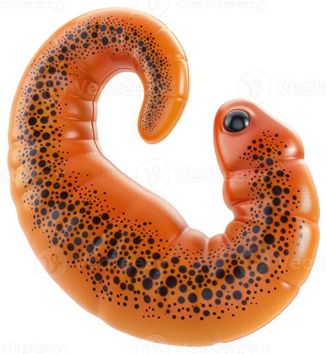Orange Segmented Worm With Dark Spots 60729451 Png