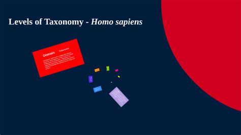 Levels Of Taxonomy Homo Sapiens By Wilson Curtis On Prezi