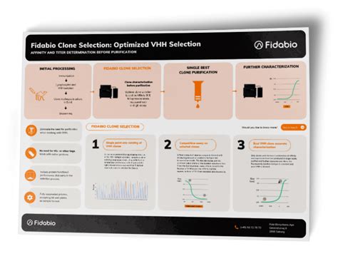 Vhh Clone Selection Infographic Vhh Clone Selection Infographic