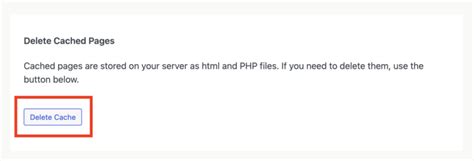 Step By Step Guide To Fixing WooCommerce Shop Page Issues Codeable