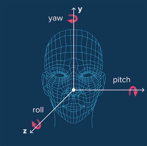 Head Pose Estimation Data Pitch Roll Yaw Kaggle