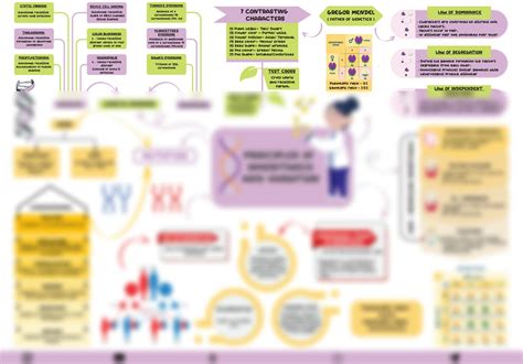 Solution Principles Of Inheritance And Variation Sex Determination