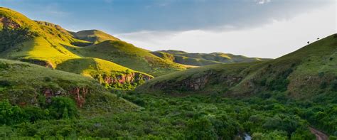 Increase Sales In Sa With Woocommerce And Sage 300 Integration