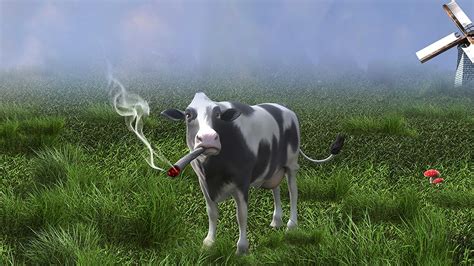 Prime Video Sex Drugs And Bicycles