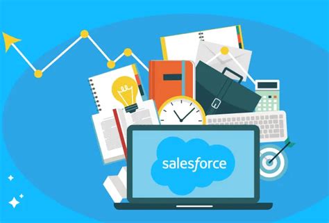 Salesforce Professional Services Implementation Guide 2025