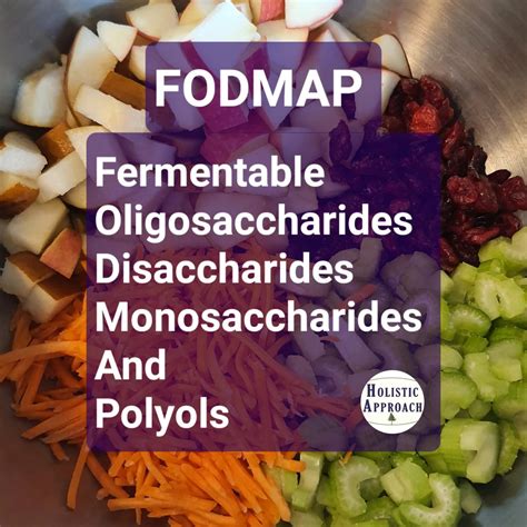 Holistic What The Fodmap Fodmap Is Short For Fermentable