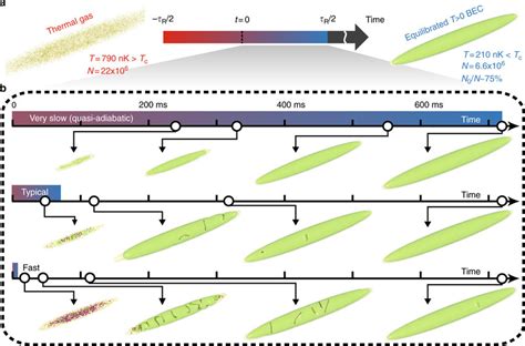 Simulation Of Quench Induced Dynamical Equilibration A Quench Download Scientific Diagram