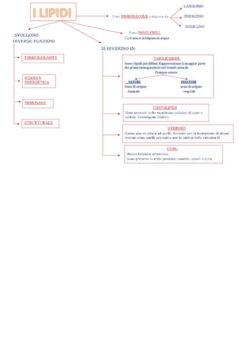 Mappa Concettuale I Lipidi Schemi E Mappe Concettuali Di Biologia Docsity