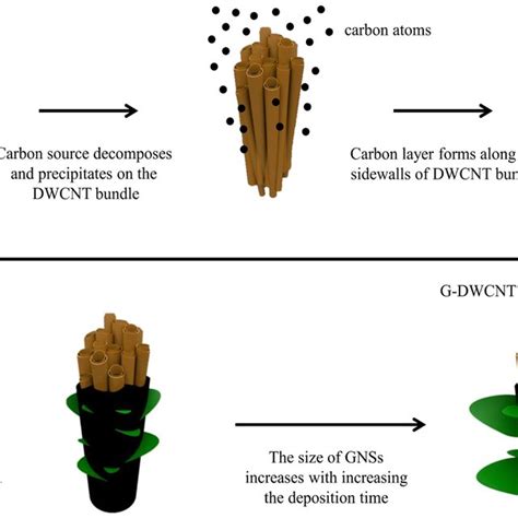 Schematic View Of The Structural Evolution Of G Dwcnt Hybrid