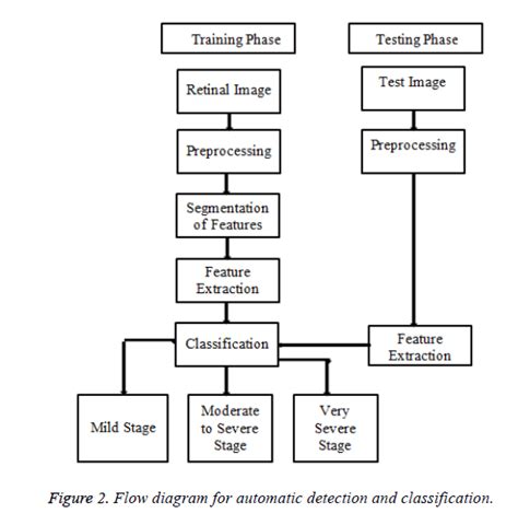 Automated Dr And Prediction Of Various Related Diseases Of Retinal Fundus Images
