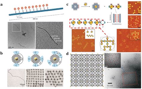 One Dimensional 1d And 2d Np Arrays Fabricated With Dna Origami A