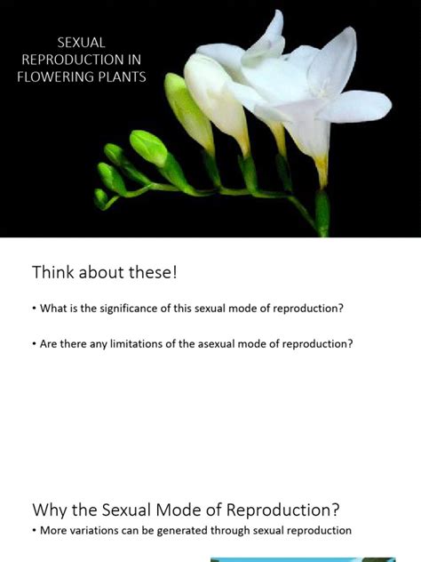 Ppt Sexual Reproduction In Plants Pdf Sexual Reproduction Flowers