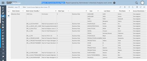 SAP ByD User Subscriptions Report SAP Community