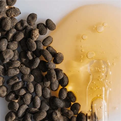 Bakuchi Oil A Natural Retinol Alternative For Glowing Even Toned Skin