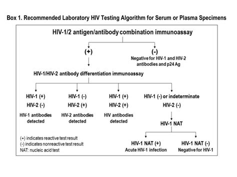 Laboratory Testing For The Diagnosis Of Hiv Infection Ppt