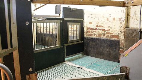 How Freedom Farrowing Pens Match Crates On Performance Farmers Weekly