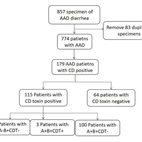 The Relationship Of Sequence Types And Toxin Genes Of C Difficile Download Scientific