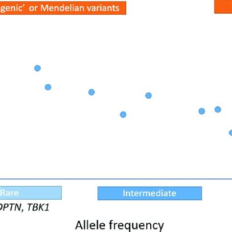 The Spectrum Of Disease Associated Variants Ranges From Rare But