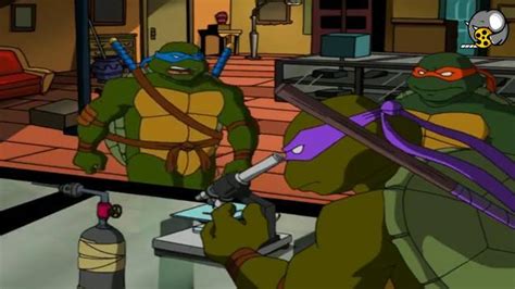 کارتون لاک پشت های نینجا فیلو