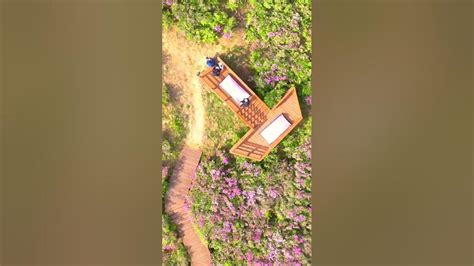 철쭉백패킹 Youtube