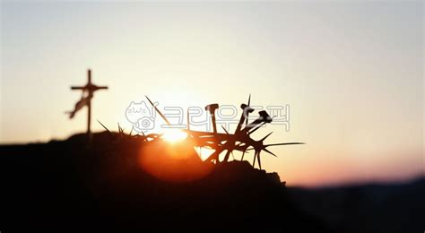 십자가 가시면류관 가시관 못 예수그리스도 사진 이미지 일러스트 캘리그라피 Artin작가