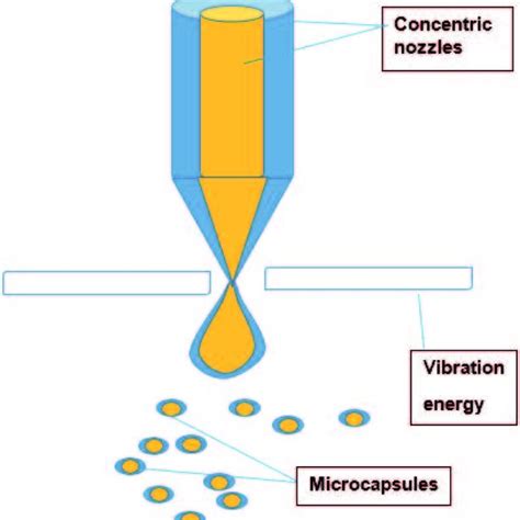 Schematic Representation Of The Co Extrusion Technique Download Scientific Diagram