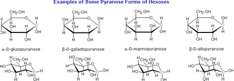 Cyclic Forms Of Monosaccharides Chemistry Libretexts