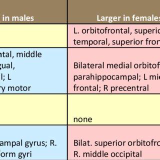 Verbal Task FMRI Sex Gender Differences Download Scientific Diagram