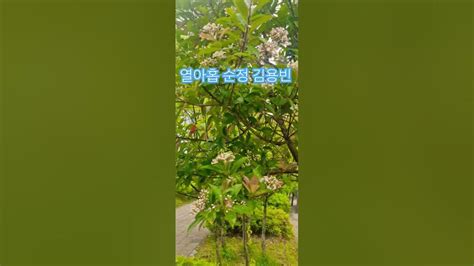 열아홉 순정 🎶 김용빈 Youtube