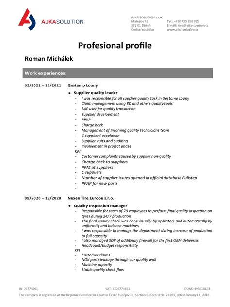 Professional Profiletemplate Pdf Audit Business