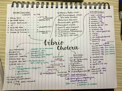 A Microbiologist Mind Map Of Some Bacteria Rpenmanshipporn