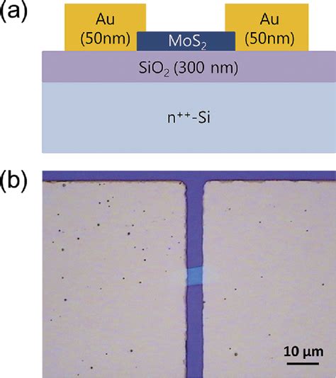 A Schematic Cross Section Of A Mos 2 Thin Film Transistor Fabricated