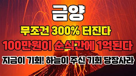 금양 금양주가 금양주가전망 금양목표가 Youtube