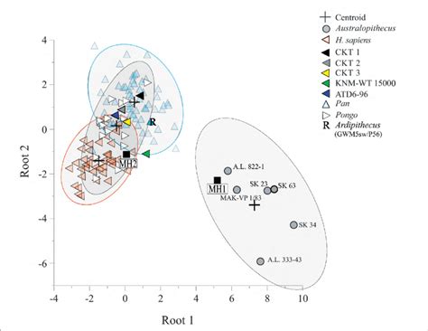 Discriminant Function Plot Including Ckt Choukoutien Knm Wt 15000