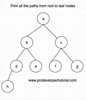 Print All The Paths From Root Node To Leaf Node ProDeveloperTutorial
