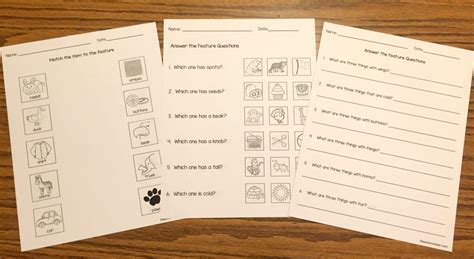 Feature Function Class Worksheets Printable Pdf Template