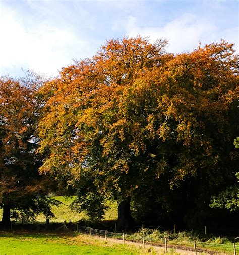 If Angle A Is 124 Degrees Then What Is 124 Degrees A Acute B Obtuse C