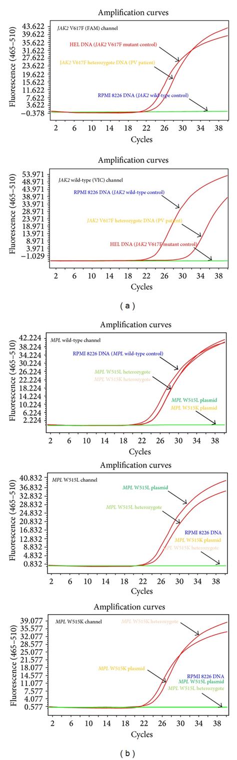 Taqman Probe Qpcr Assay For Jak2 V617f And Mpl W515l K Mutation A Download Scientific