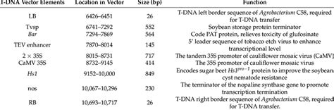 t dna vector elements location size and function in each plasmid