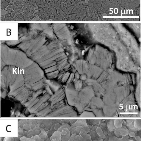 structure of kaolinite and halloysite download scientific diagram