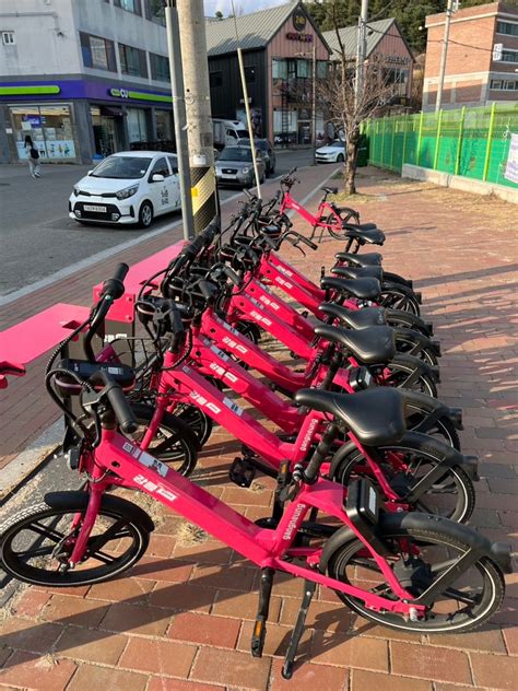 전기자전거 전동 킥보드 배터리 교체 수거 재배치 알바 1년 후기 2탄 네이버 블로그