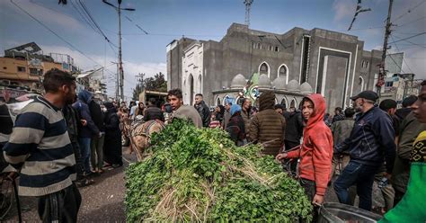 포토 그래도 삶은 계속된다라파의 채소장수