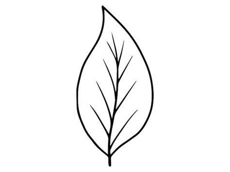 Premium Vector Leaves Sketch Line Art Illustration