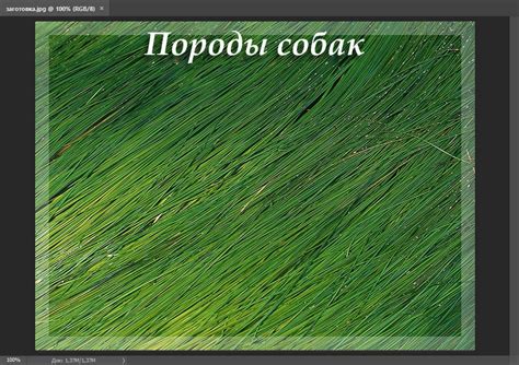 Как нарисовать сетку в фотошопе