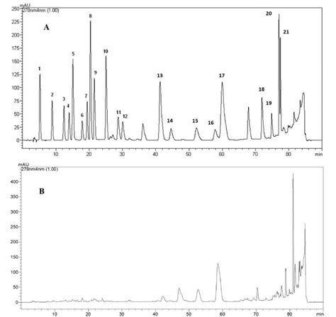 A Standard Chromatogram B Chromatogram Of The S Tomentosa